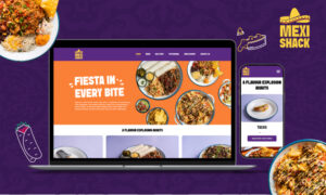 Website Portfolio | Design Point Digital